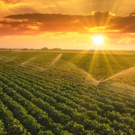 Michigan Potash & Salt Company (MPSC)